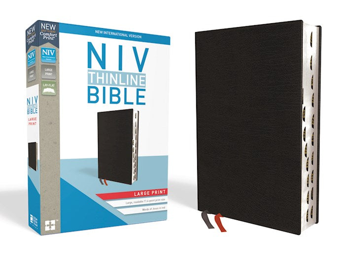 NEW INTERNATIONAL VERSION BIBLE - LARGE PRINT – Universal Church ...