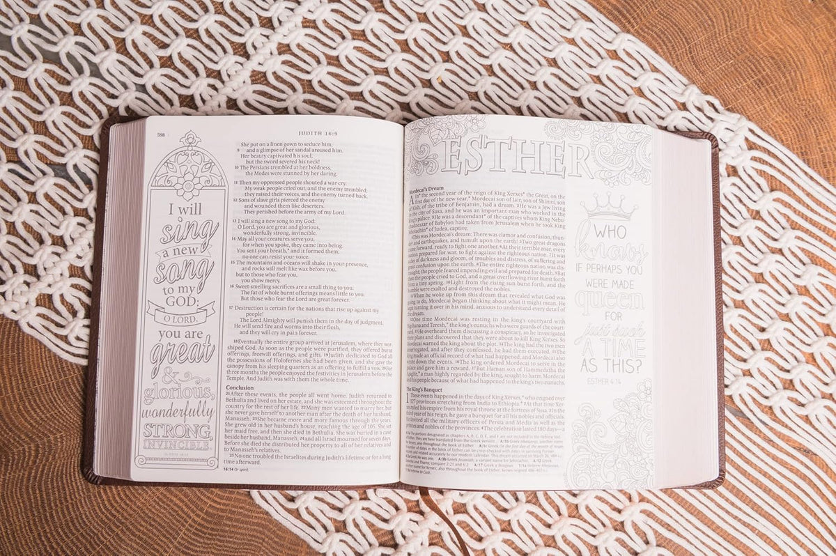 Inspire Catholic Bible NLT (LeatherLike, Dark Brown): The Bible for Co ...
