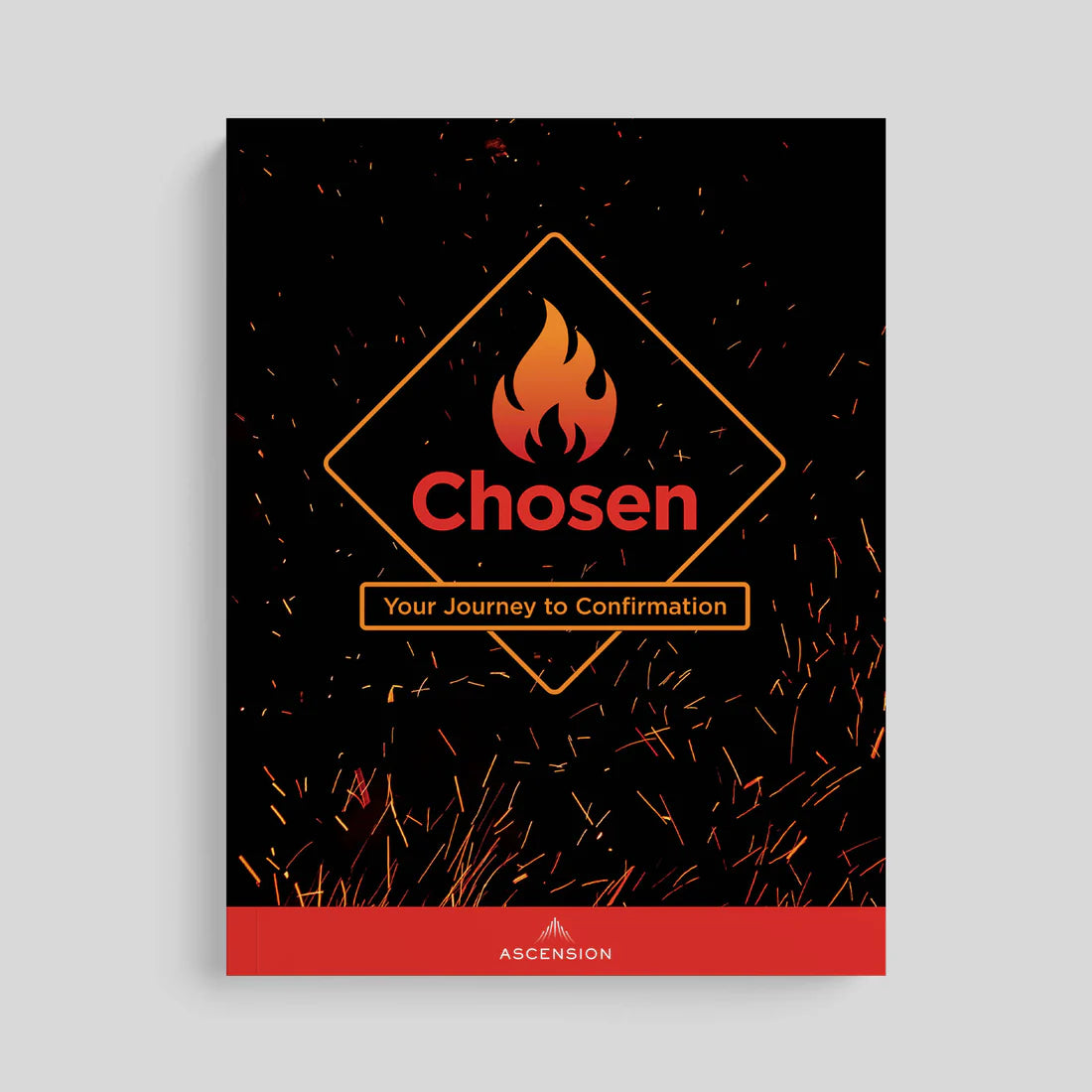 Chosen: Your Journey to Confirmation - Student Workbook – Universal ...